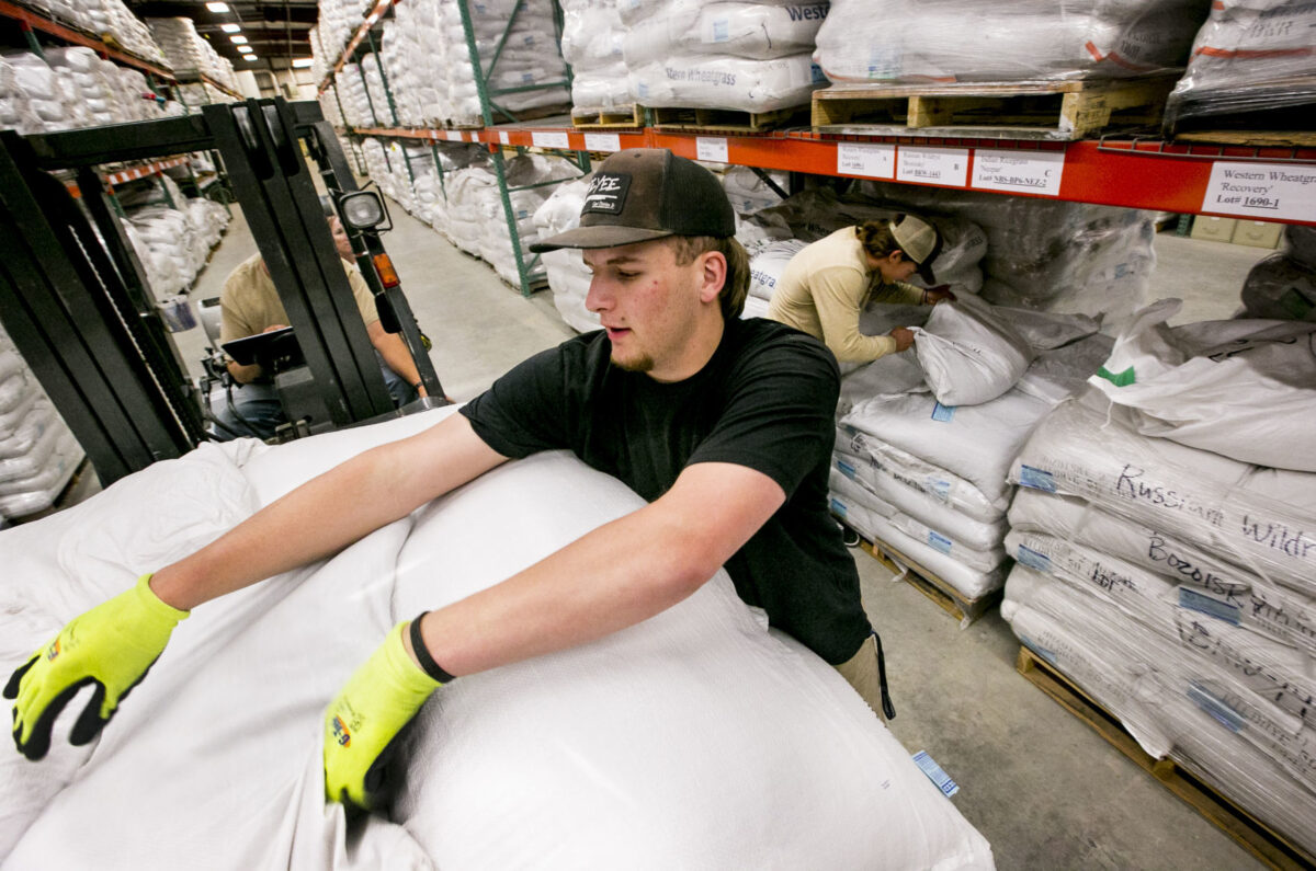 How one warehouse provides millions of pounds of seeds for Utah lands ...